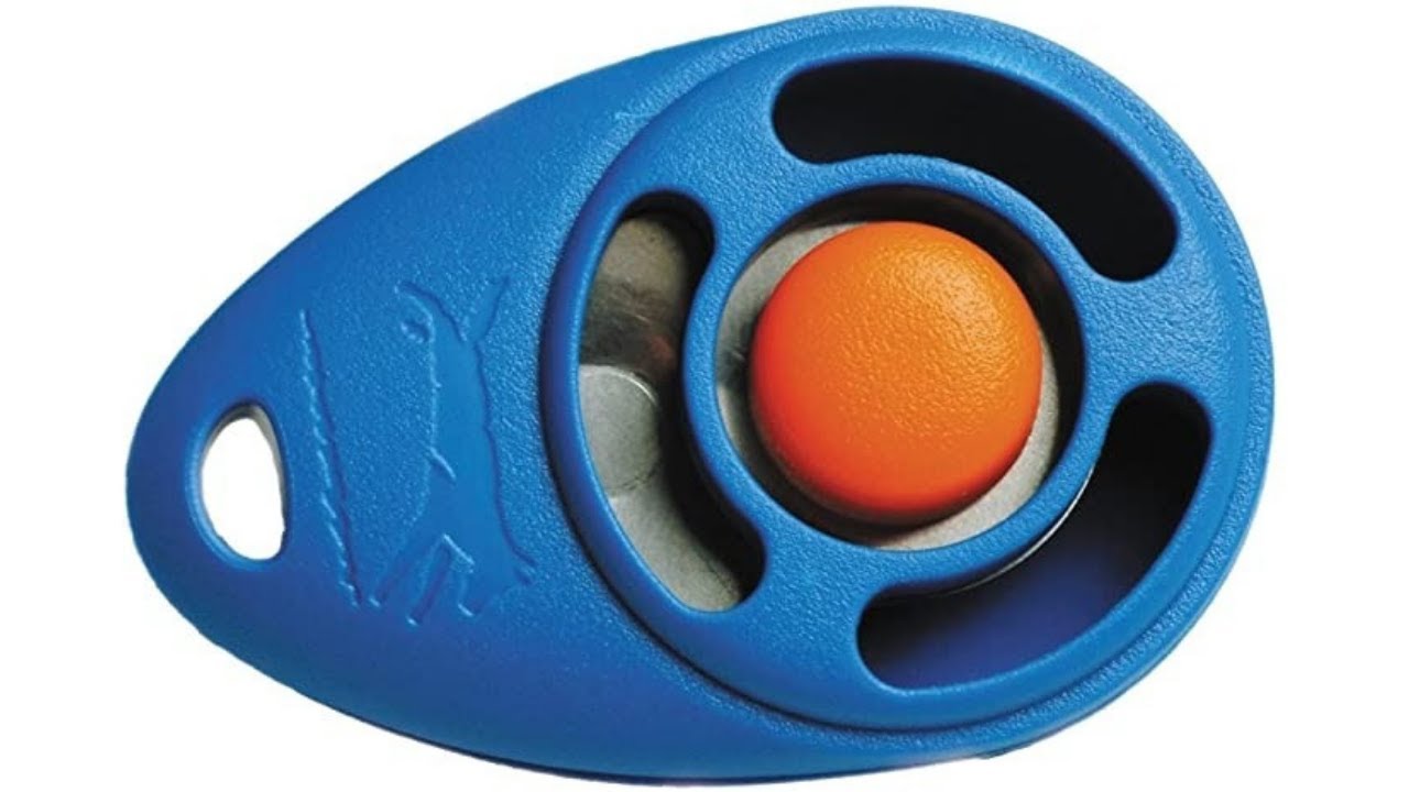 How to make a clicker for birds and pets training||DIY toy for kids at ...