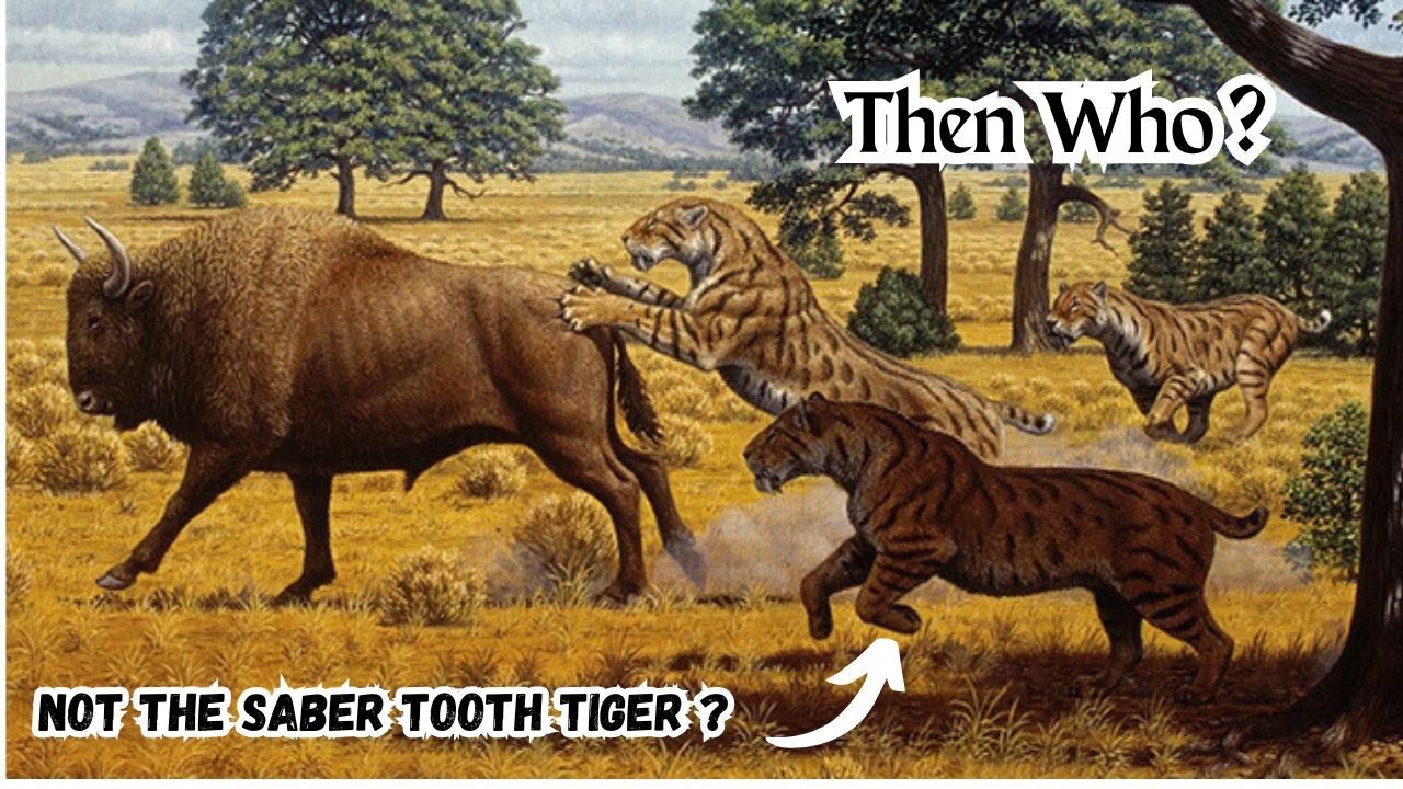 Who Was Homotherium ? : Unleashing the Scimitar-Toothed Legacy of the ...