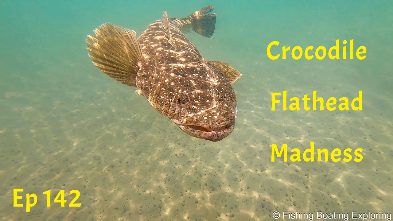 Epic Hardbody Fishing Lure Challenge Ends In A Personal Best Crocodile ...
