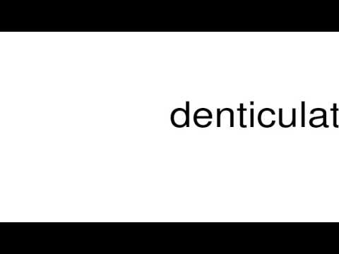 How to pronounce denticulated - YouTube
