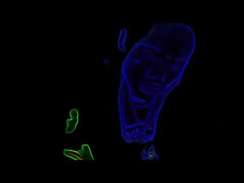 tokyo Bay rave scene legend