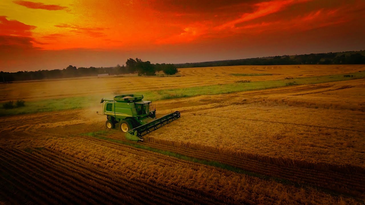 Wheat Harvest Sample Footage - YouTube