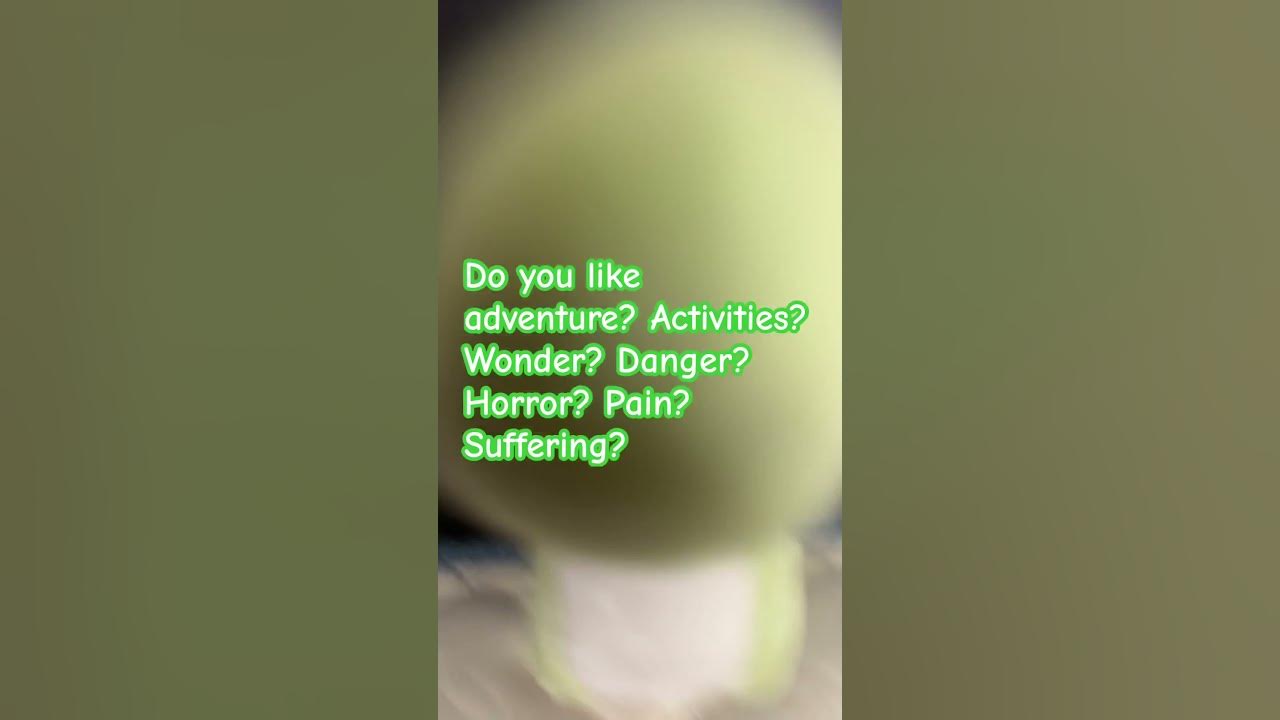 You Youtube