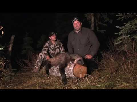 Monster Moose Hunt Alaska Hidden Alaska Guide Mike "Buck" Bowden ...