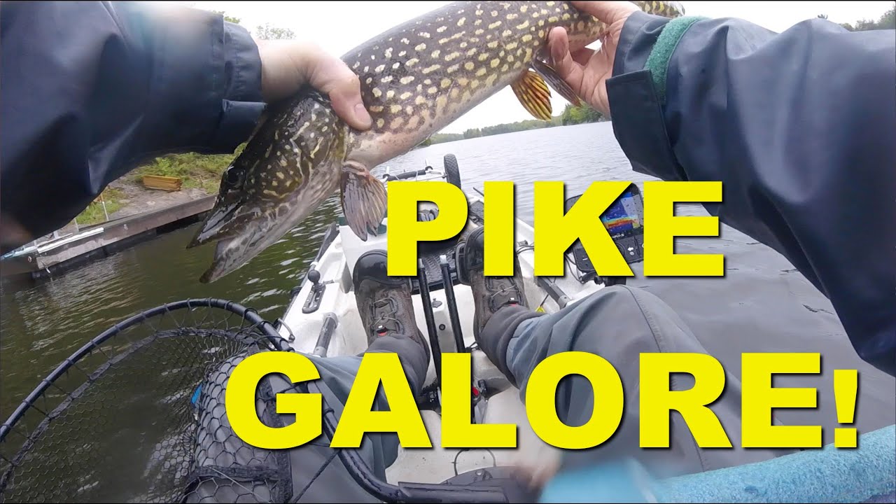 SHAWMERE - PIKE GALORE with Tony Sunman - YouTube