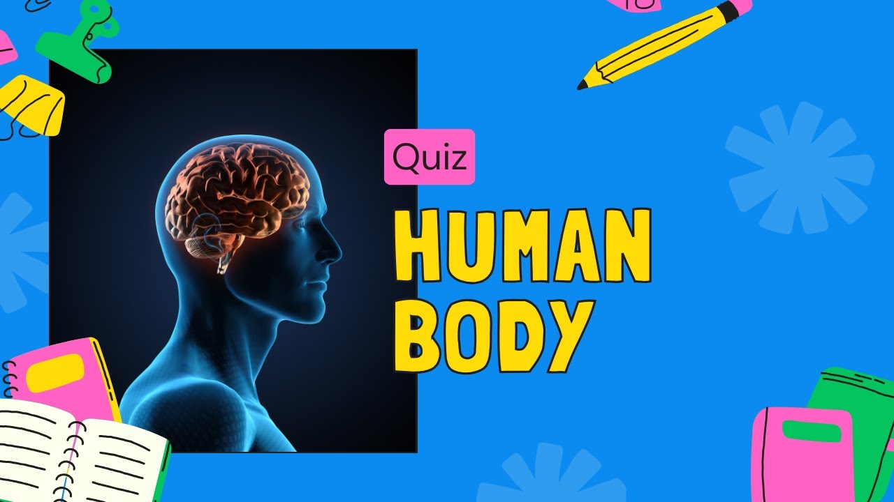 Human Body Quiz Challenge: Can You Score 30/30? - YouTube