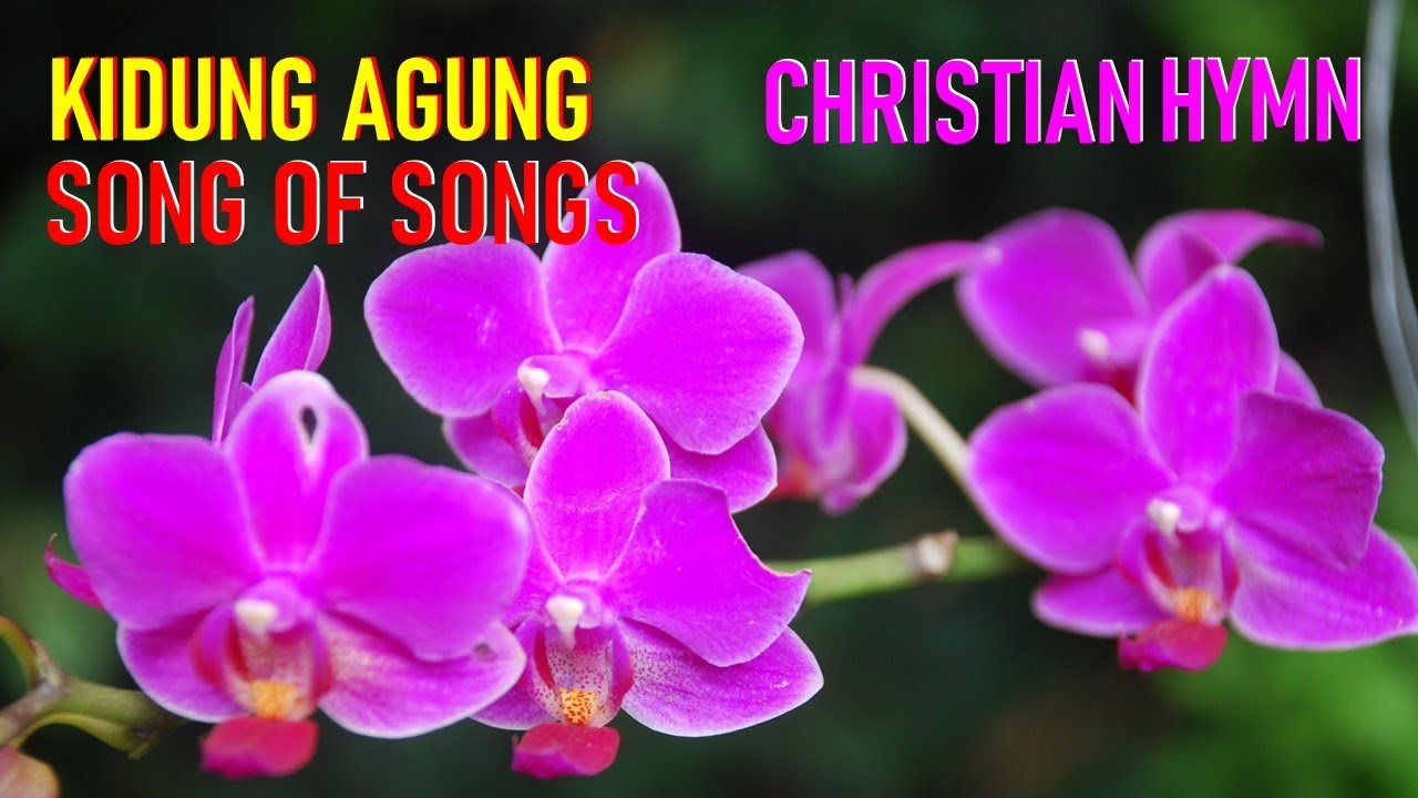 Song of Songs | Kidung Agung | Stephen Tong - YouTube