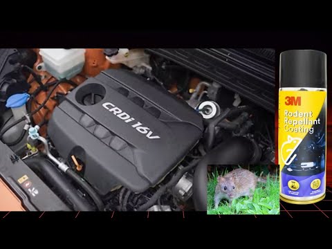 3M rodent Rat repellent How to Apply in car Engine bay area - YouTube