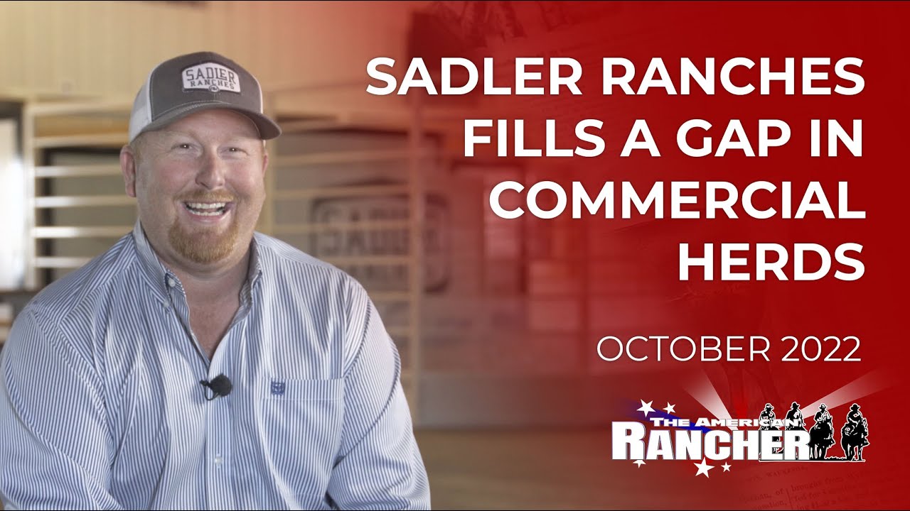 Sadler Ranches Fills a Gap in Commercial Herds | The American Rancher ...