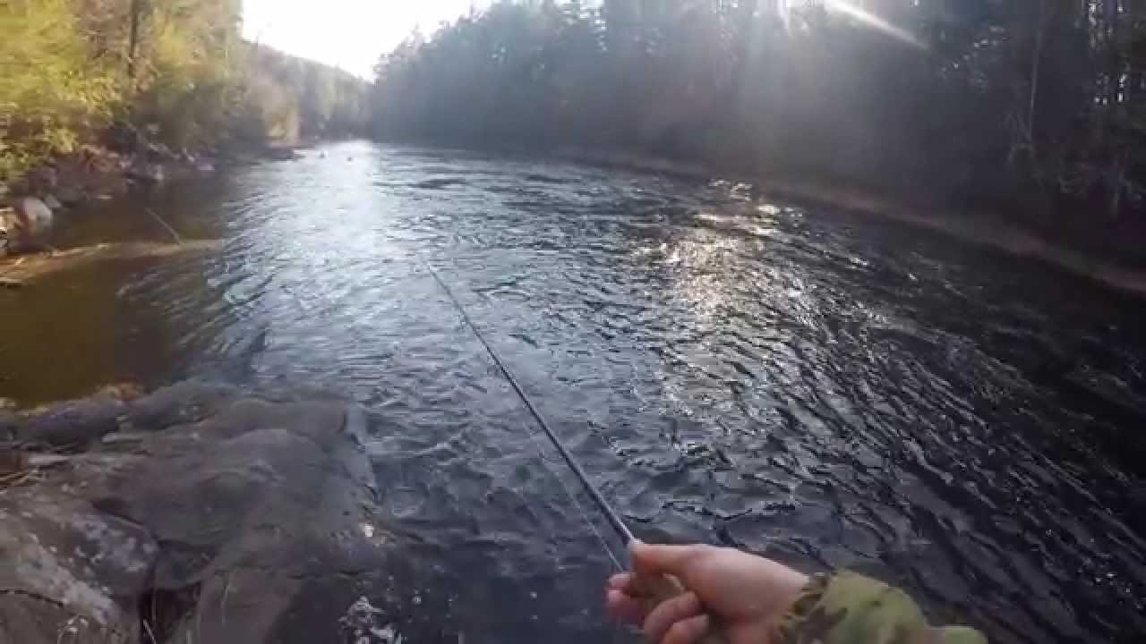 Scott L2H 11' 6wt Switch Rod and the Echo SR 10'6" 4wt Switch Rod - YouTube