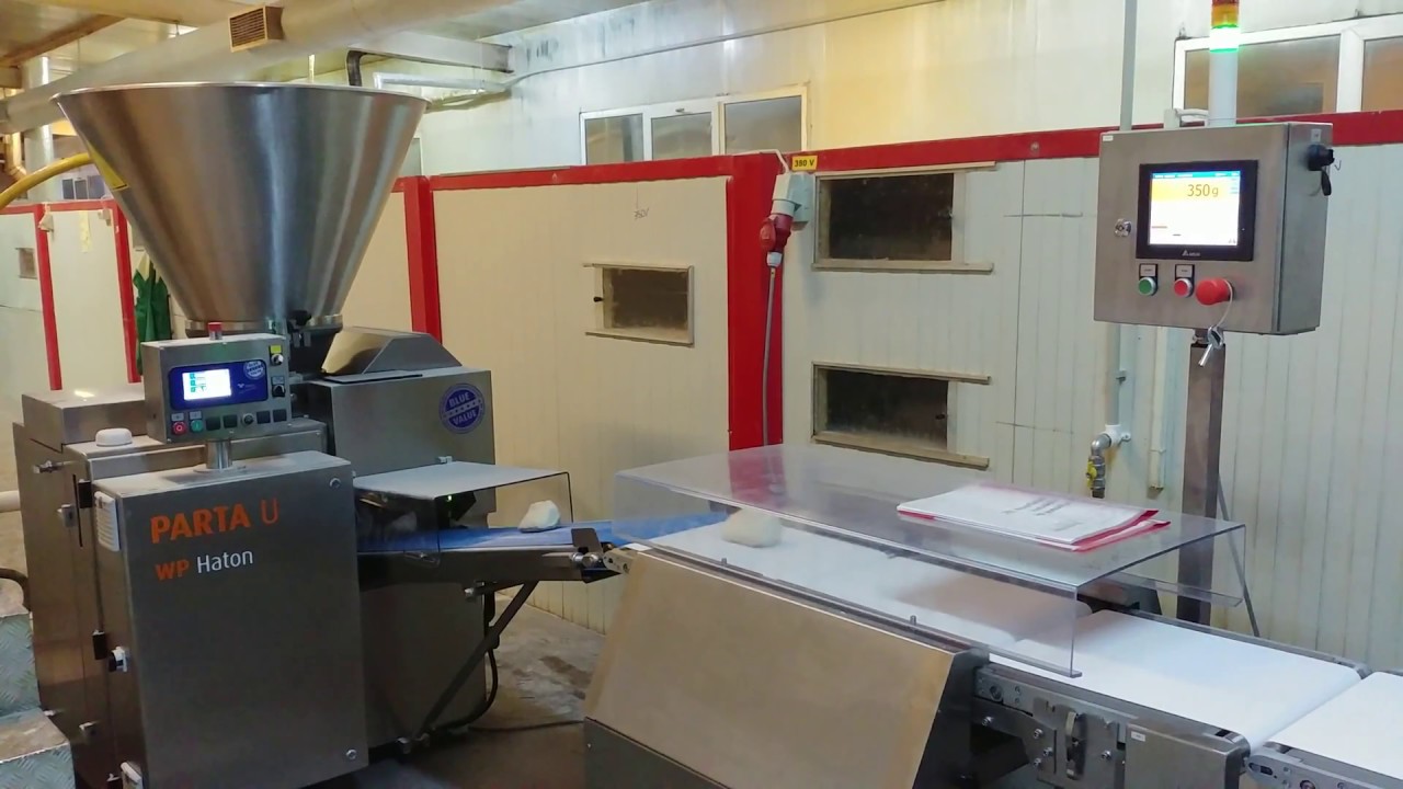 Wegarex si divizor WP Haton Parta U - YouTube