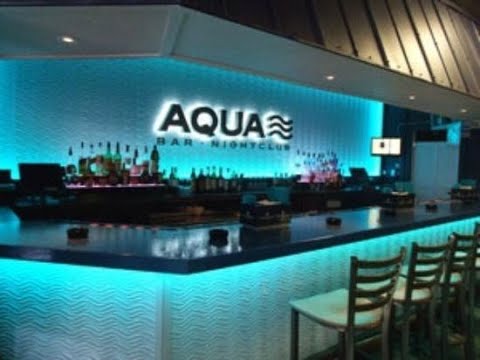 Aqua Idol Key West — Season Finale | Benefitting the Key West Wildlife ...