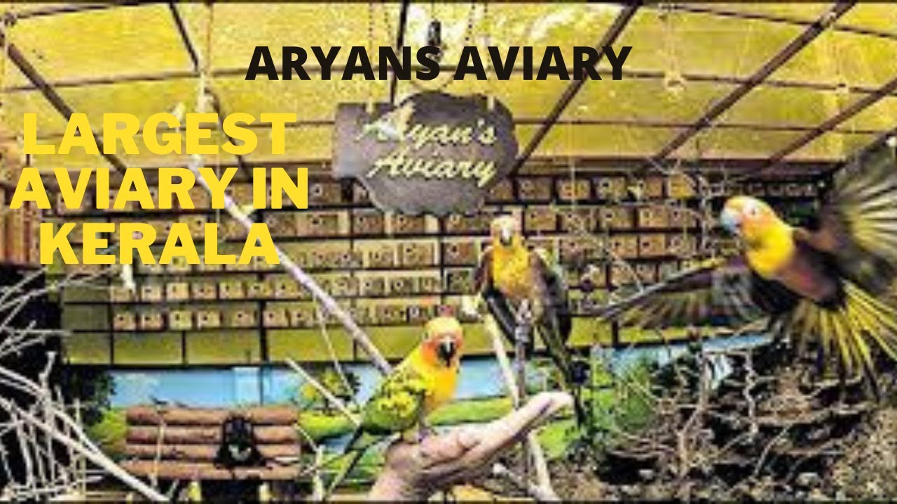 A Sneak Peek into Aryans Aviary | Aryans Aviary | Largest Aviary in ...