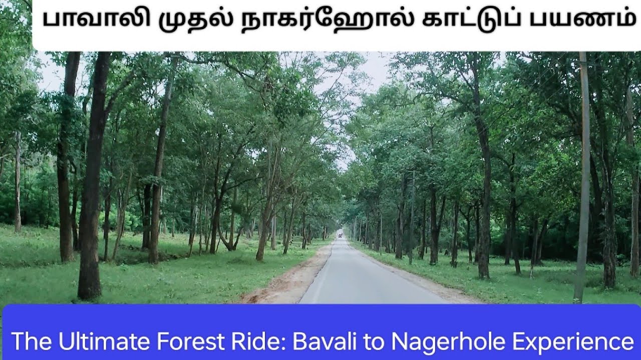 Bavali to Nagarhole (Kabini): A Solo Biker's Journey Through Nature ...