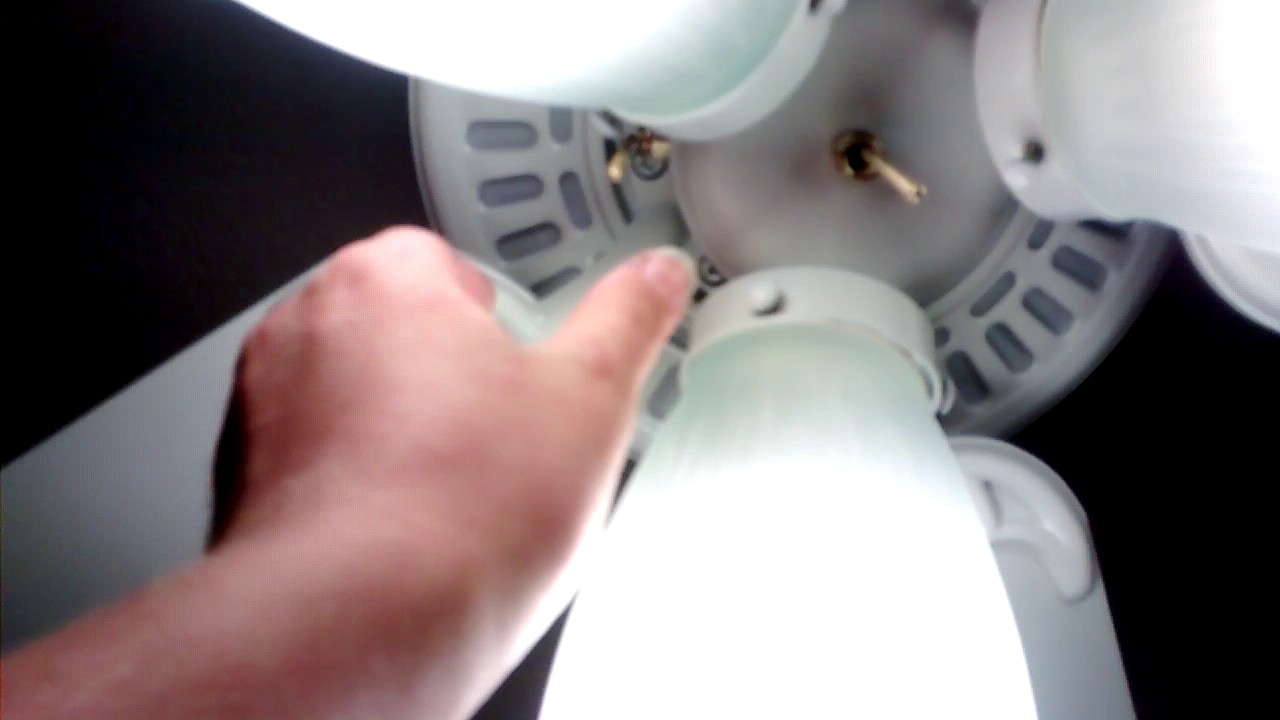 How My Cat Reacts to a ceiling fan - YouTube