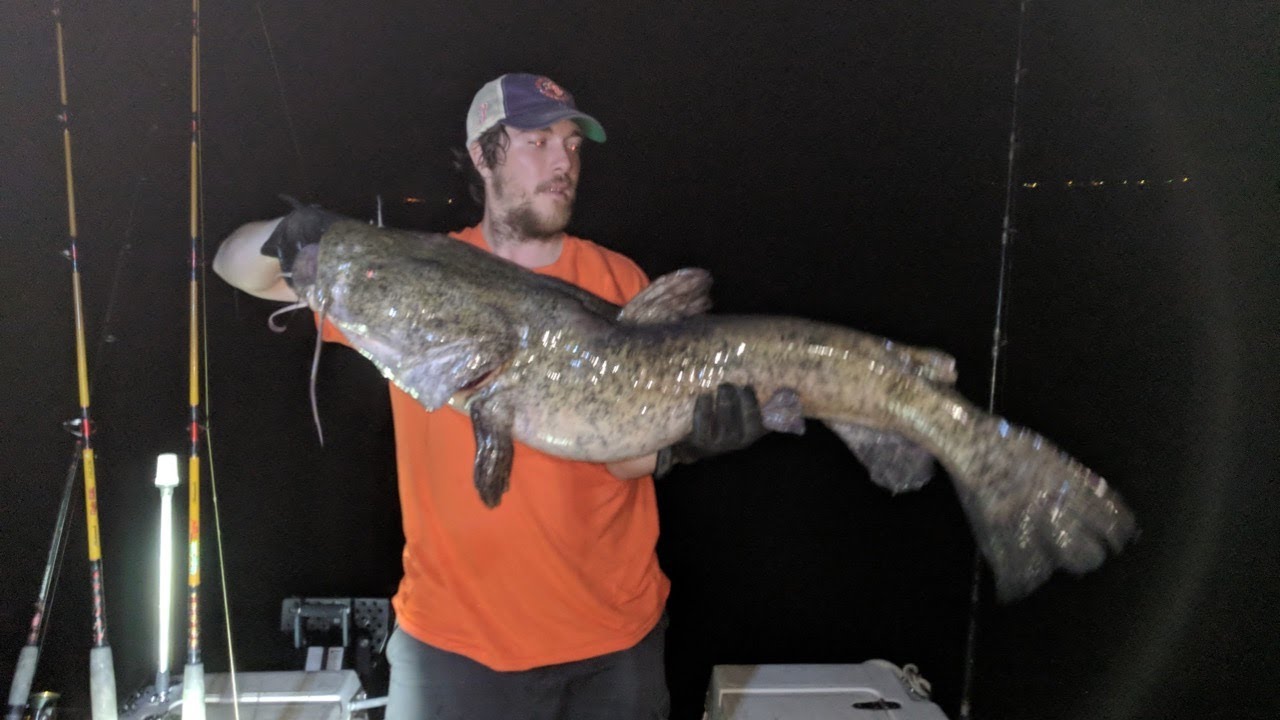 JTC WE FISHING IN THE WATER AT NIGHT - YouTube