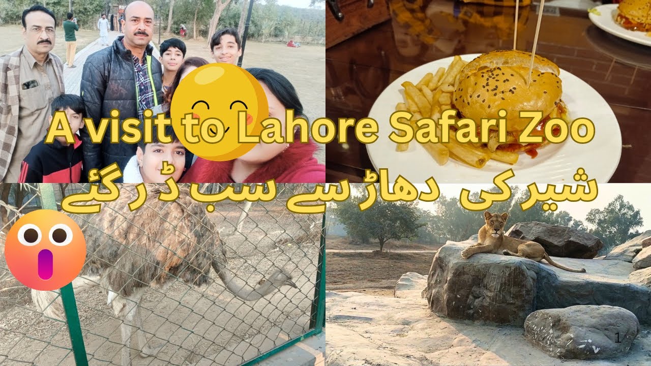 Review of Lahore Safari zoo | Lahore Safari Park | sher Azad phirte hai ...