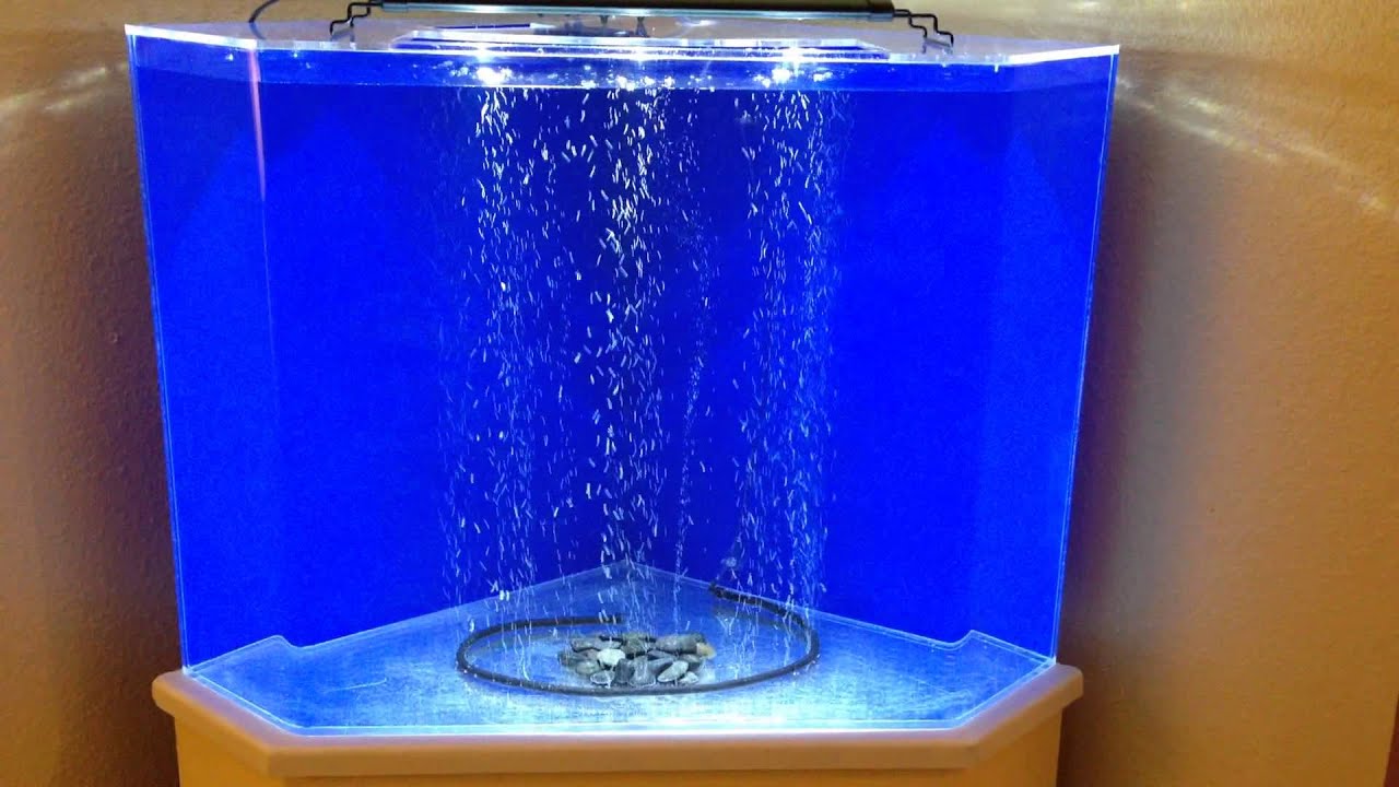 My newish 54G corner tank is finally setup and full of water - YouTube