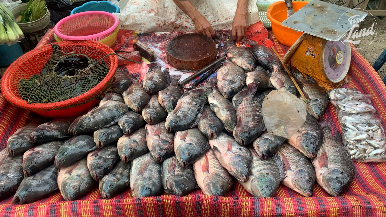 ปลาสดจากตลาด Fresh fish from the market - Thailand street food - YouTube