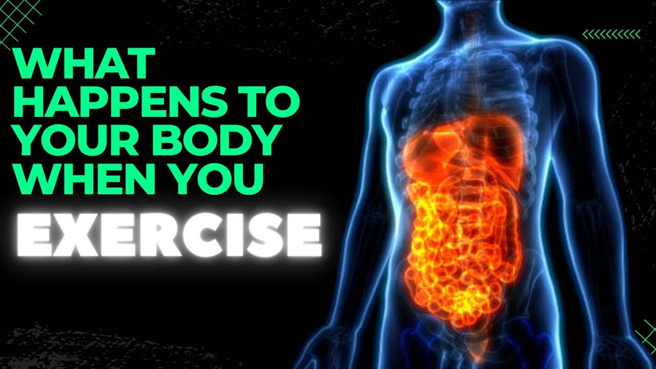 What Really Happens To Your Body When You Exercise - YouTube