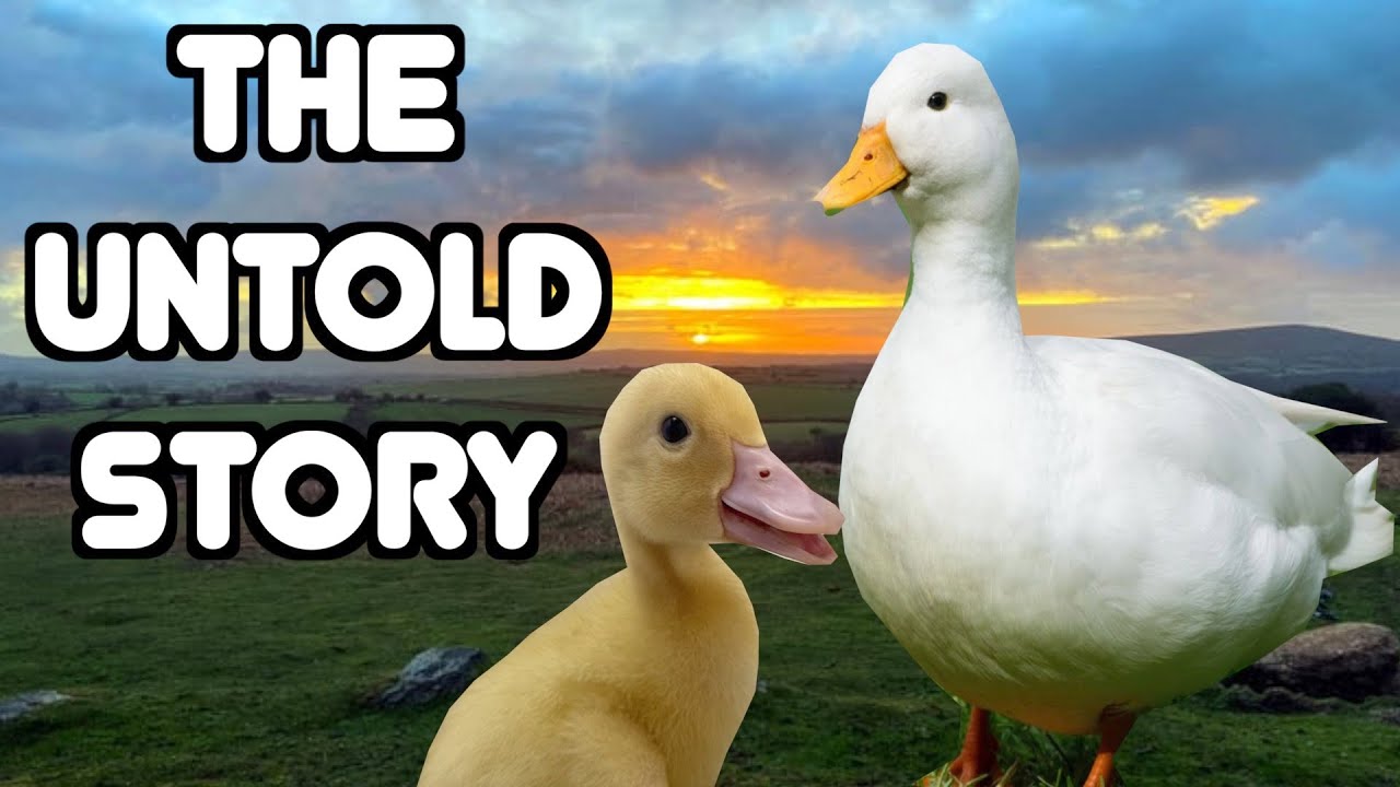 The Mysterious Legend of Our Great White Ducks - YouTube