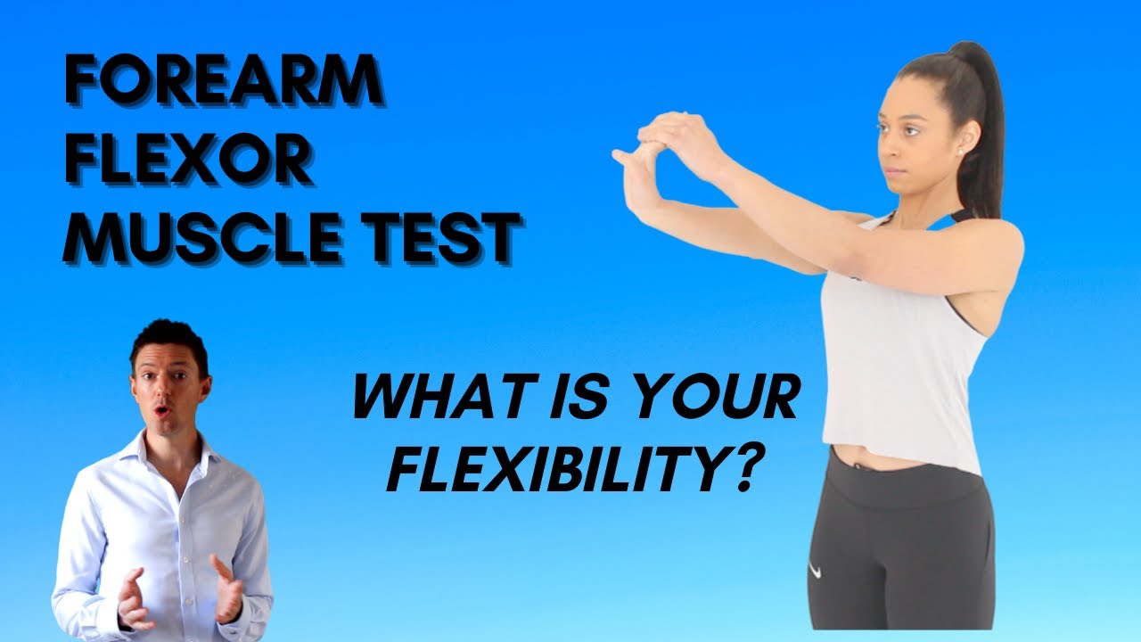 Forearm Flexor Muscle - Test Your flexibility... - YouTube