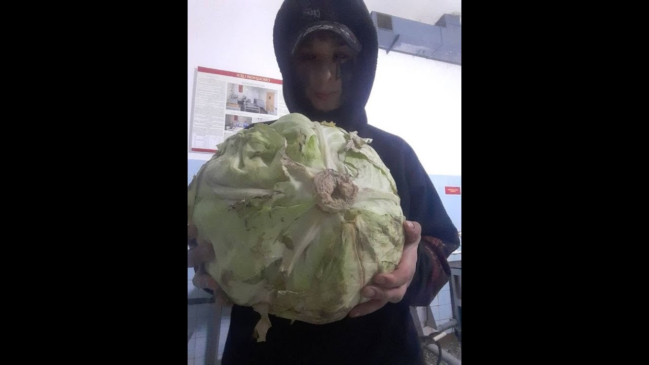 REMIX Кишлак Слёзы HARDSTYLE RMX by Kishlak Hub - YouTube