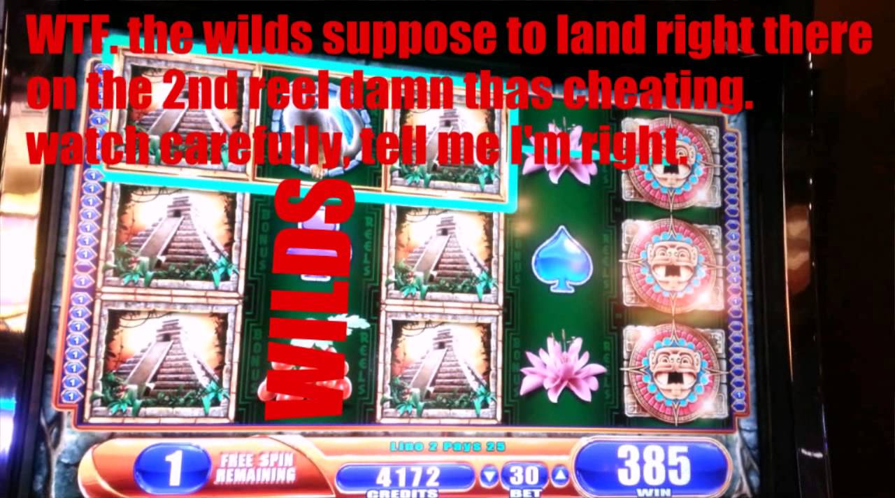 JUNGLE WILD 3 THE CHEATING SLOT must see why - YouTube
