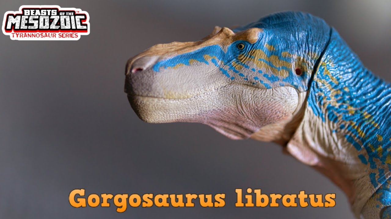 Beasts of the Mesozoic - Gorgosaurus libratus unboxing and showcase ...