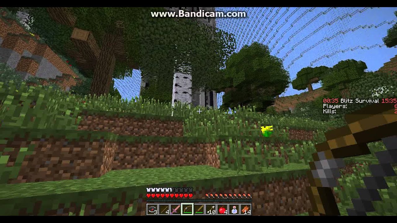 Hunger Games With Dante - YouTube