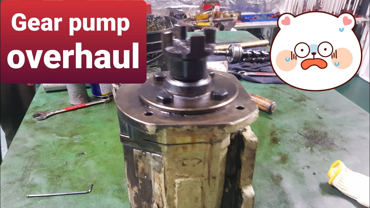 How to maintenance of Gear pump(IMO pump) for diesel engine (Very easy ...