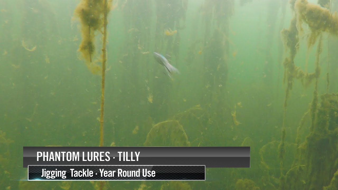 Phantom Lures "Tilly" · Underwater Action Footage - YouTube