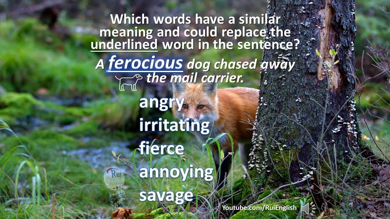 Aula de inglês: VOCABULARY V02/04 Replacing words in sentences ...