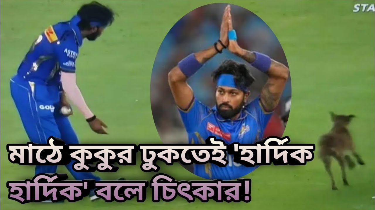 Hardik Pandya Troll | Hardik Pandya Trolled By Mi Fans | Hardik ...