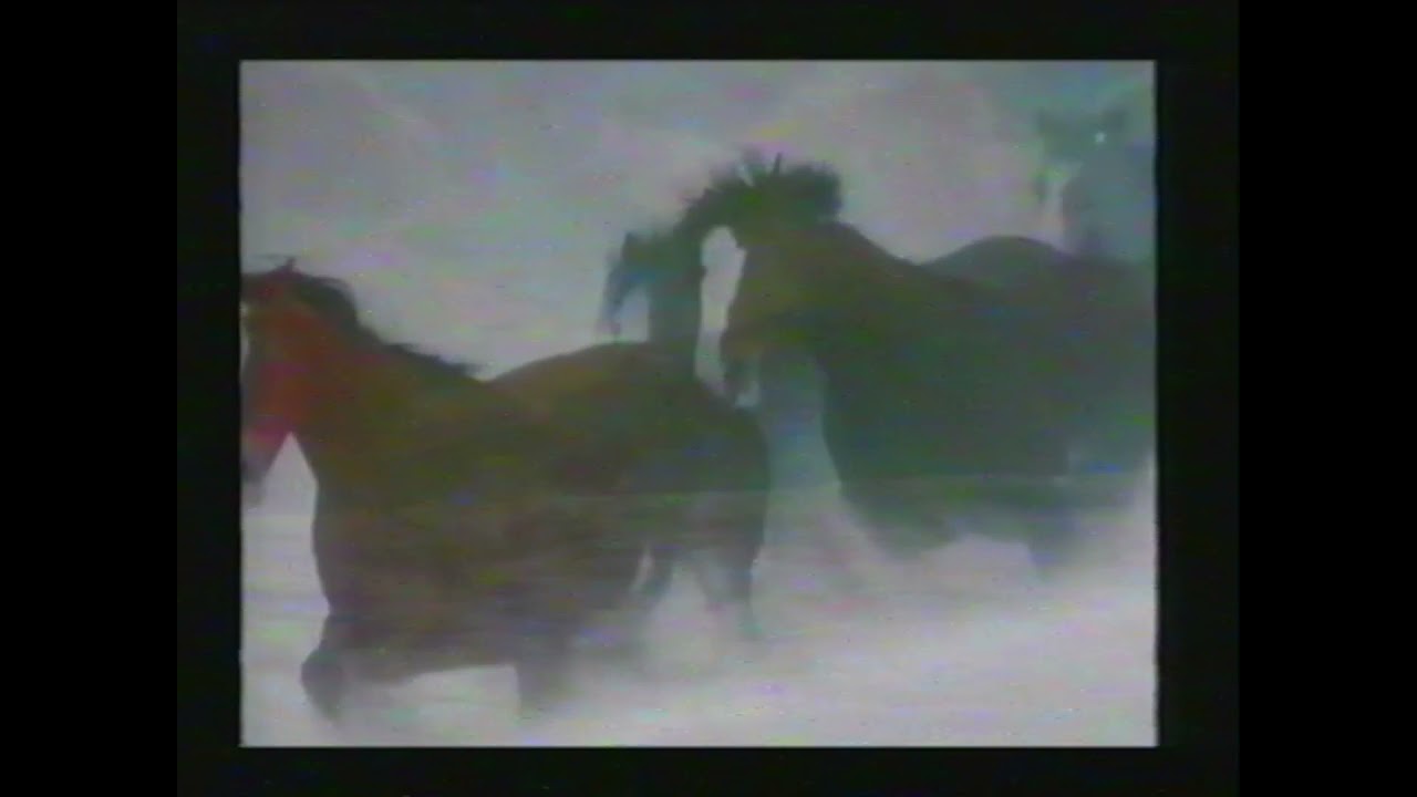 Budweiser Beer Commercial 2000 - YouTube
