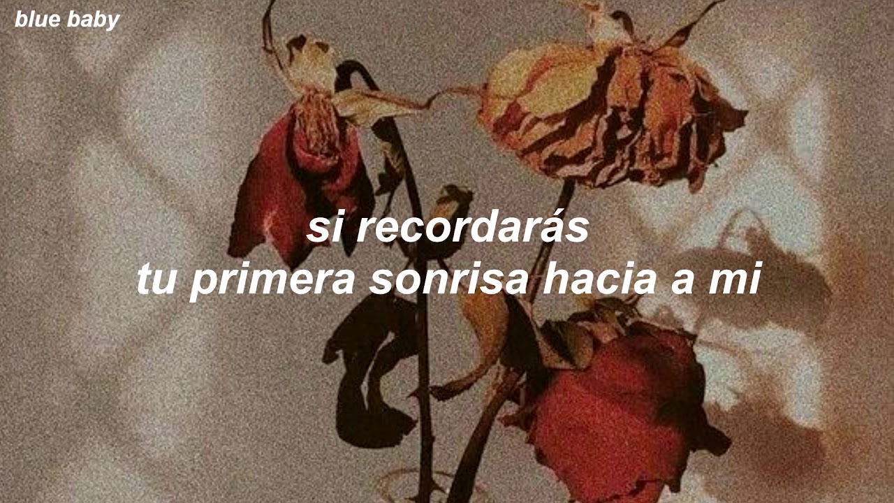 Leo Dan - Te He prometido (letra) - YouTube