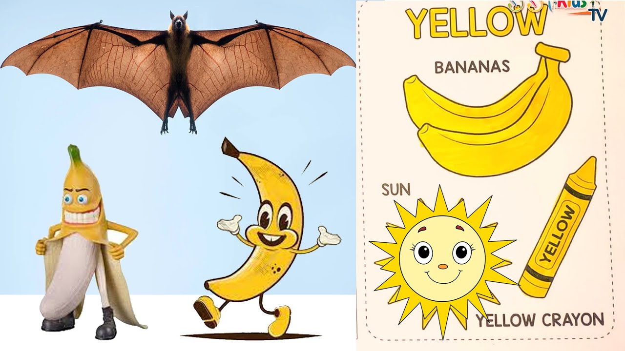 Banana and Bat painting 🎨 #learn painting colours#kidslearning#youtube# ...
