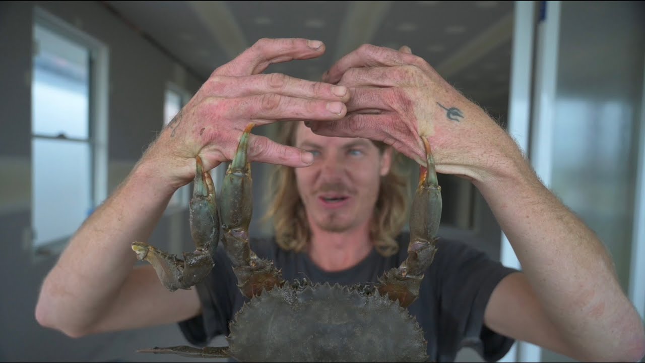 TRADIES BEING BITTEN BY MUDCRABS - YouTube