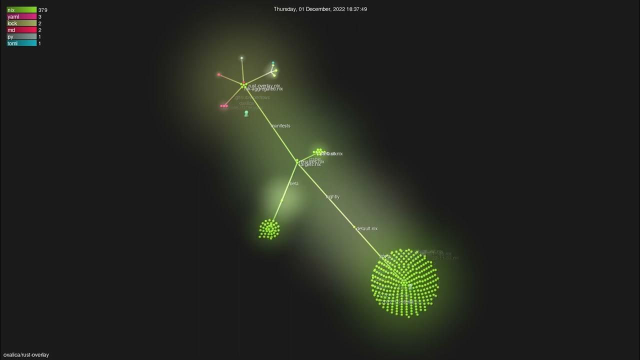 oxalica/rust-overlay - Gource visualisation - YouTube