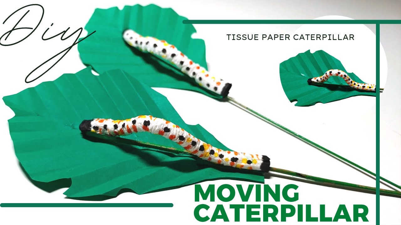 How to Make Moving Caterpillar With Tissue Paper | Tissue Paper Craft ...