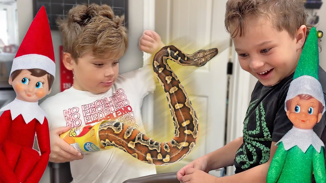 Elf On The Shelf Snake Prank! 🐍 - Daily Bumps Vlogmas 2022 - YouTube