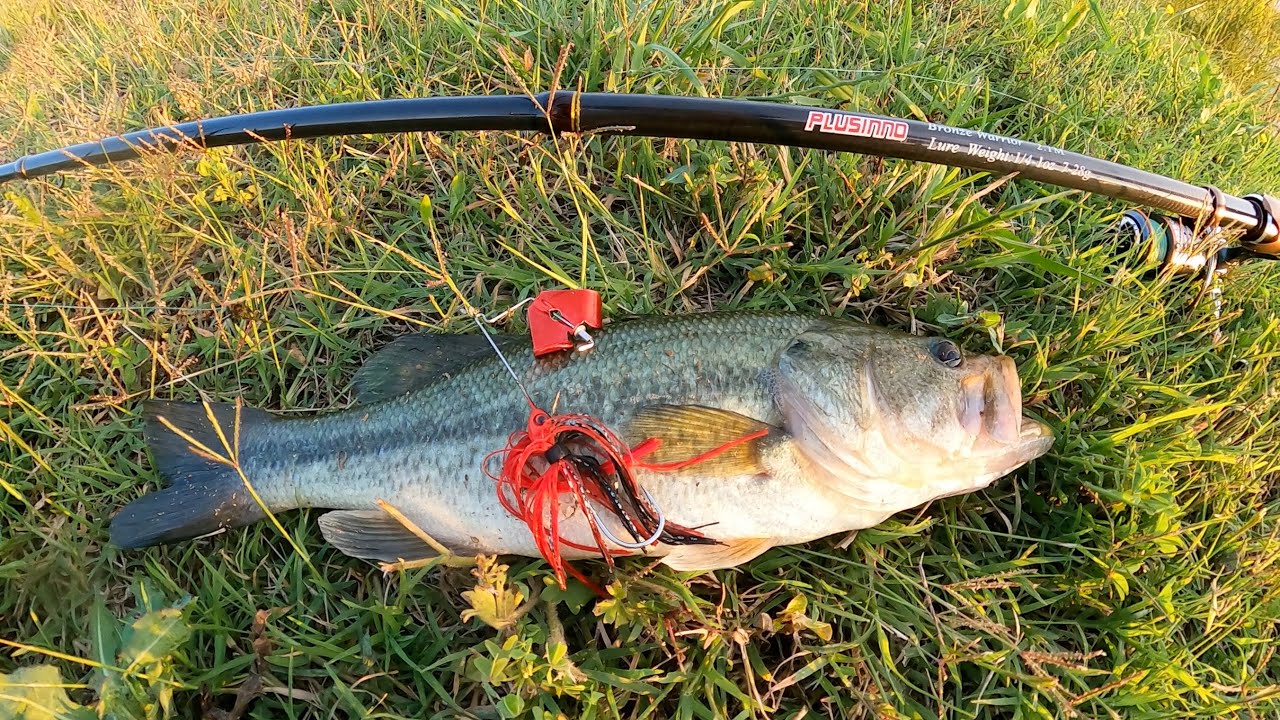 Plusinno telescopic fishing rod $50 Amazon challenge. - YouTube