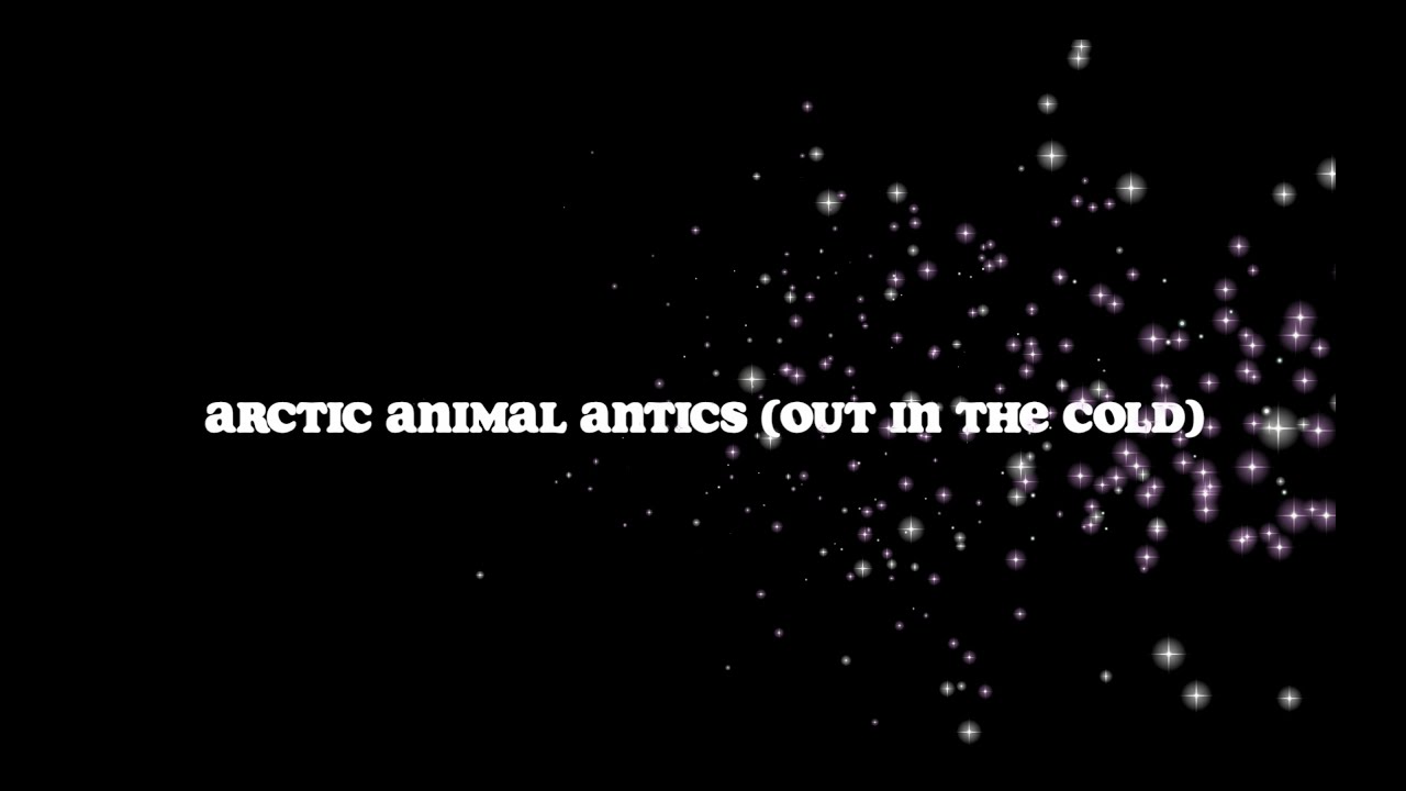 Arctic Animal Antics (Out in the Cold) - YouTube