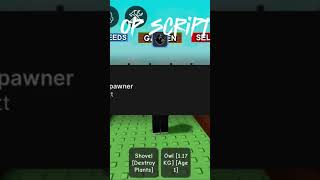 Loadstring Game Httpget Https Pastebin Com Raw Kamqh6pc Hai Anh Em Vlog ...