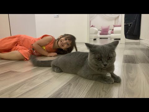 BEREN’e KEDİ ALDIK. OYUNLAR OYNADIK!! 🐈🐈🐈❤️❤️❤️