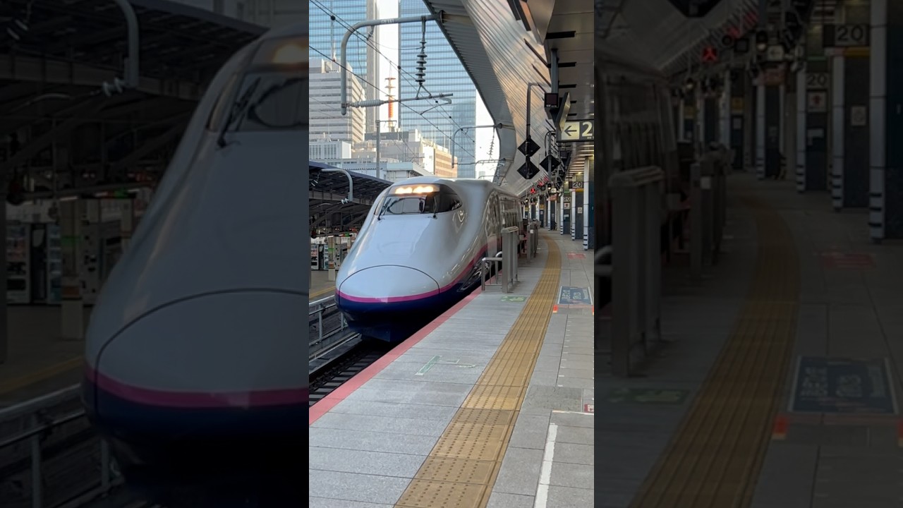 E2系到着！ #鉄道 #train #電車 #新幹線 #jr #jr東日本 #東北新幹線 #なすの #e2系 #東京駅 - YouTube
