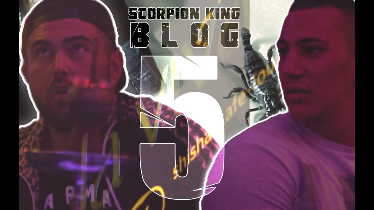 Summer Cem - SCORPION KING Blog 5 [ HAK ] - YouTube
