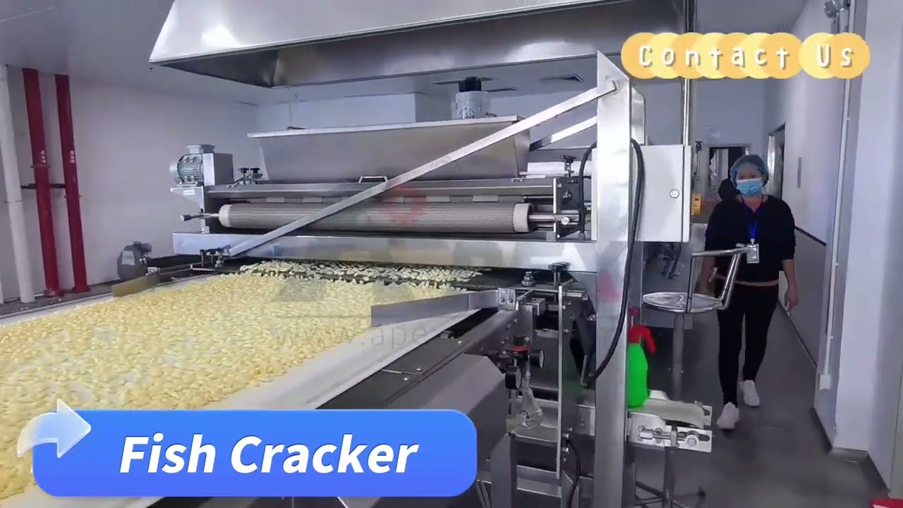 Biscuit Fish Cracker Production Line Cracker Making Machine-APEX ...