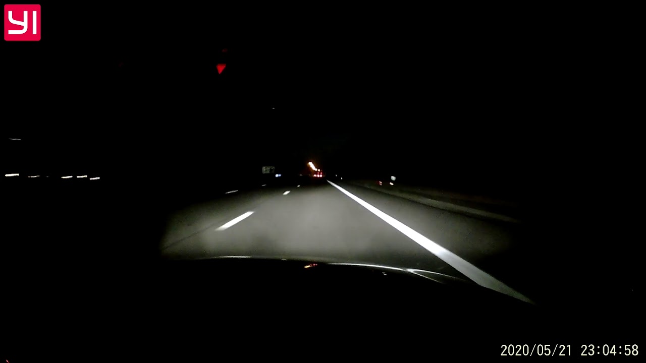 beesten bos is boos - YouTube