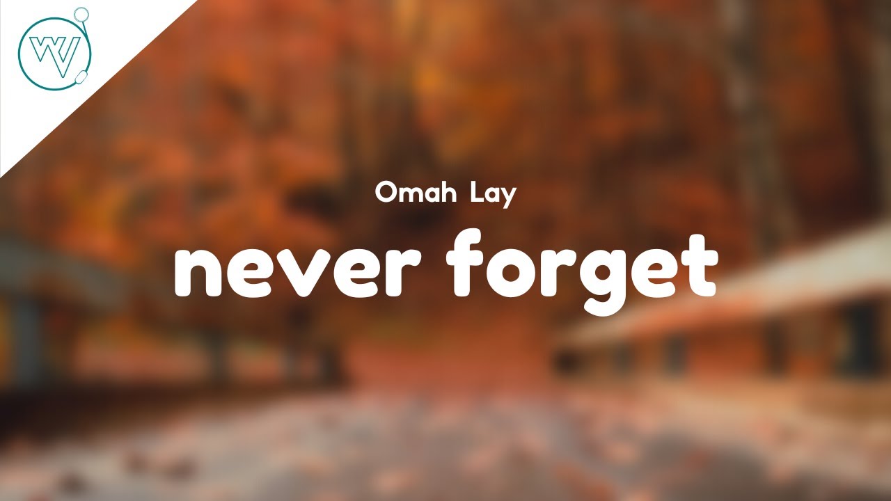 Omah Lay - Never Forget (Lyrics) - YouTube